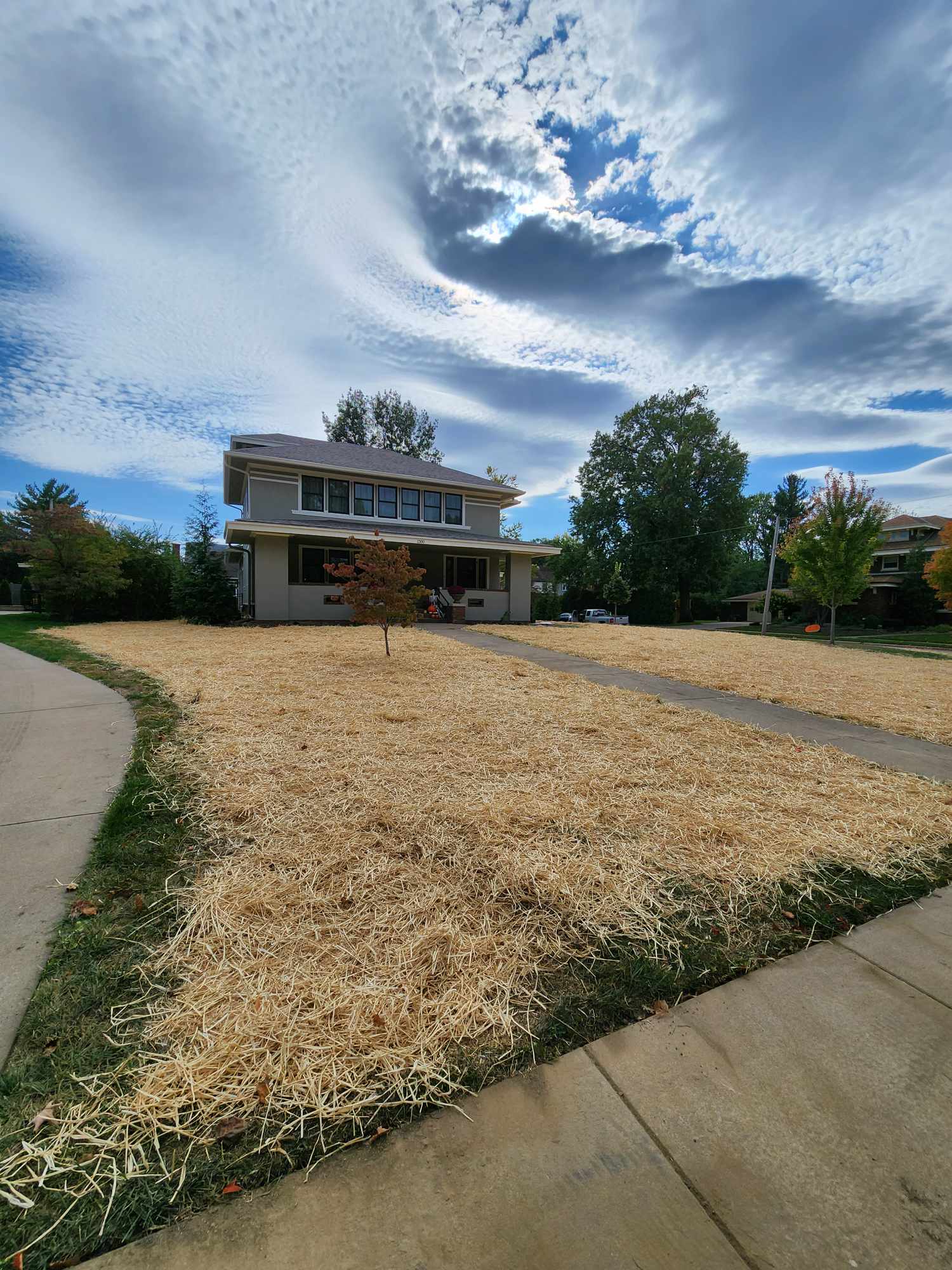 Gallery - Elite Outdoor Services